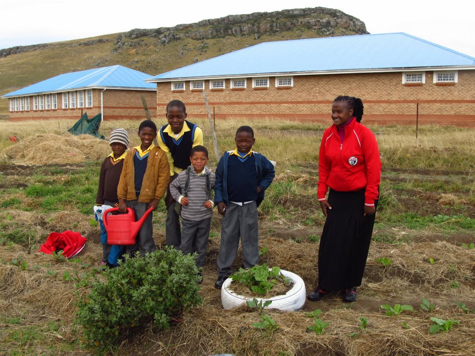Manzimdaka School Garden – The LAND project
