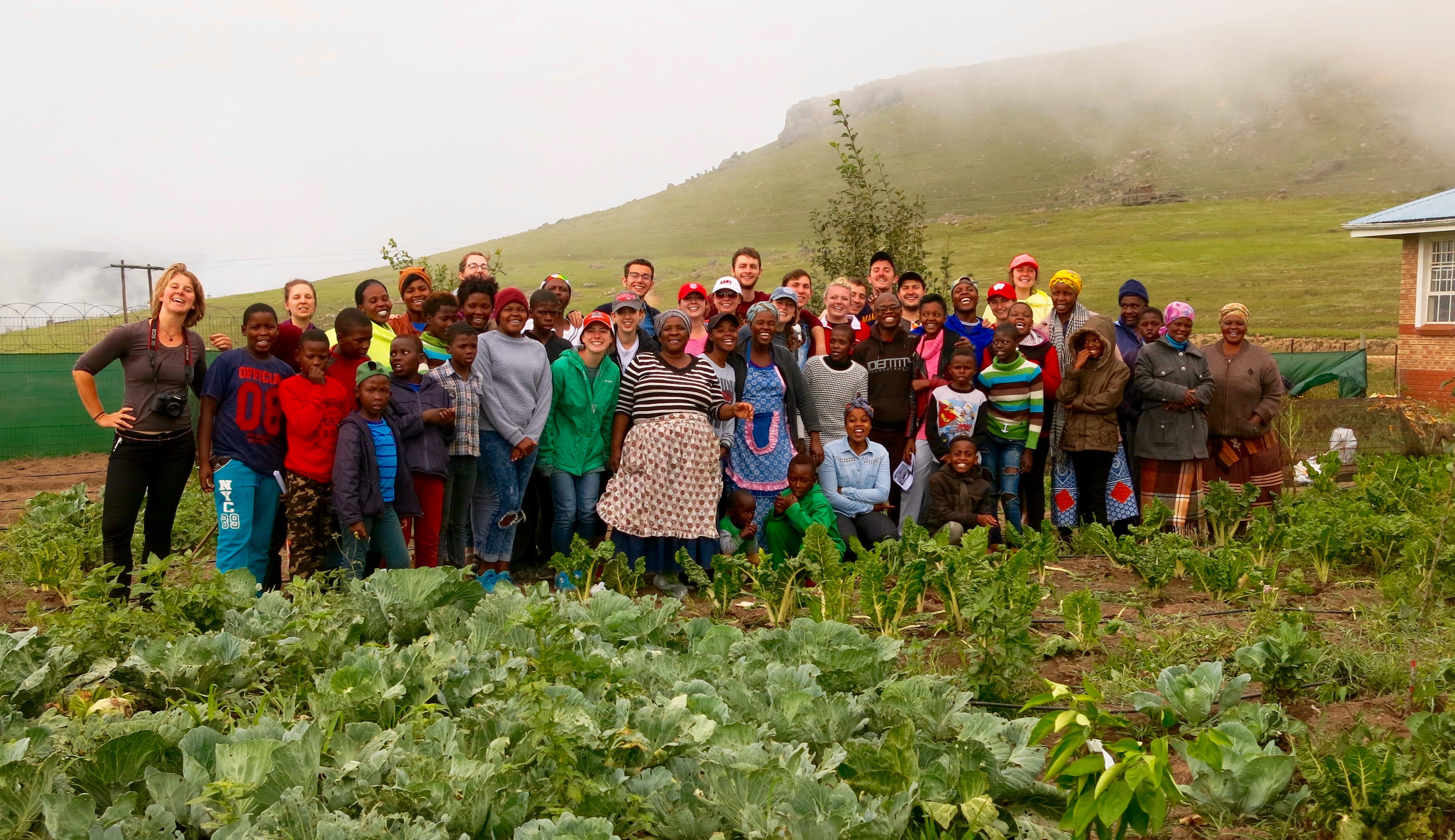 The LAND project
